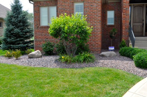 Black Trap Rock | Indianapolis Decorative Rock | McCarty