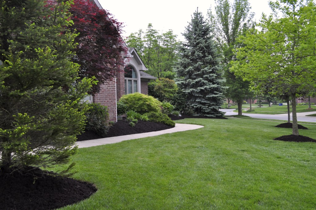 Color Enhanced Premium Hardwood | Indianapolis Mulch