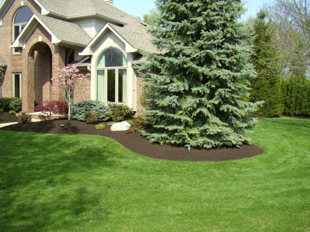 Color Enhanced "Mini's" | Indianapolis Mulch | McCarty Mulch