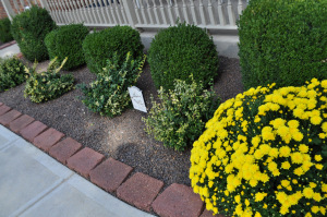 Small Haydite Rock | Indianapolis Decorative Rock | McCarty