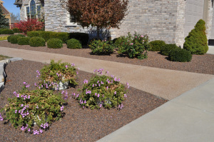 Small Haydite Rock | Indianapolis Decorative Rock | McCarty