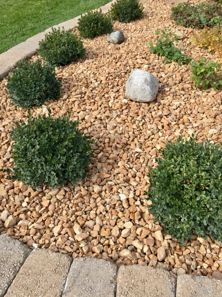 Large Meramac - McCarty Mulch
