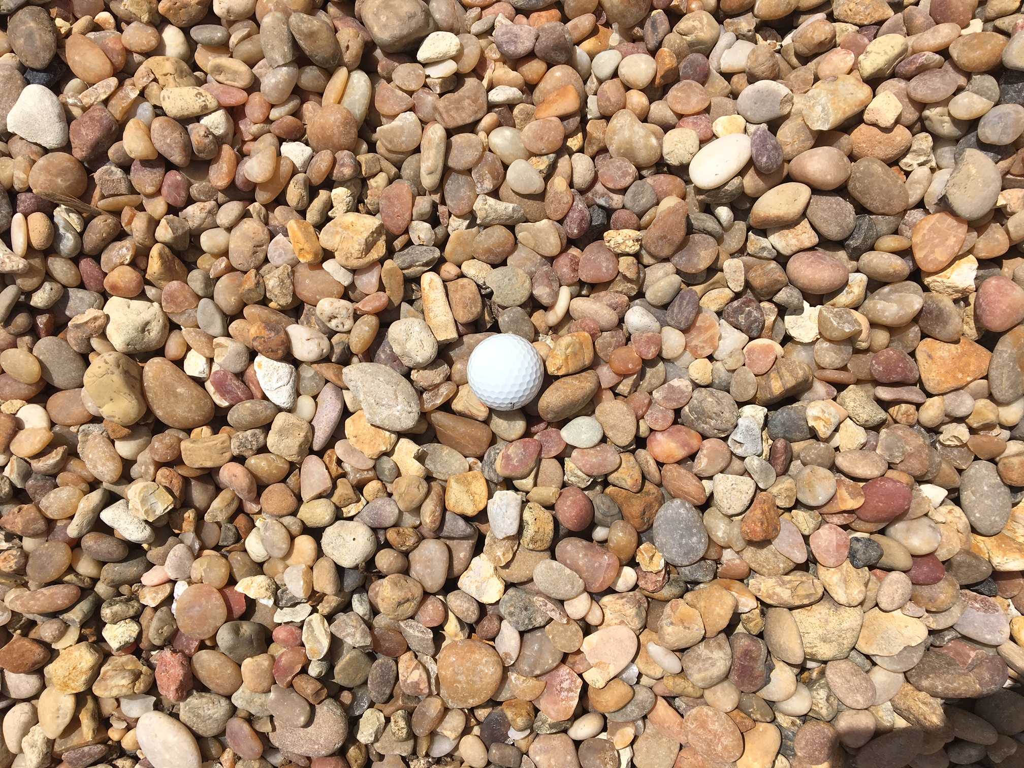 Alabama Sunset - McCarty Mulch