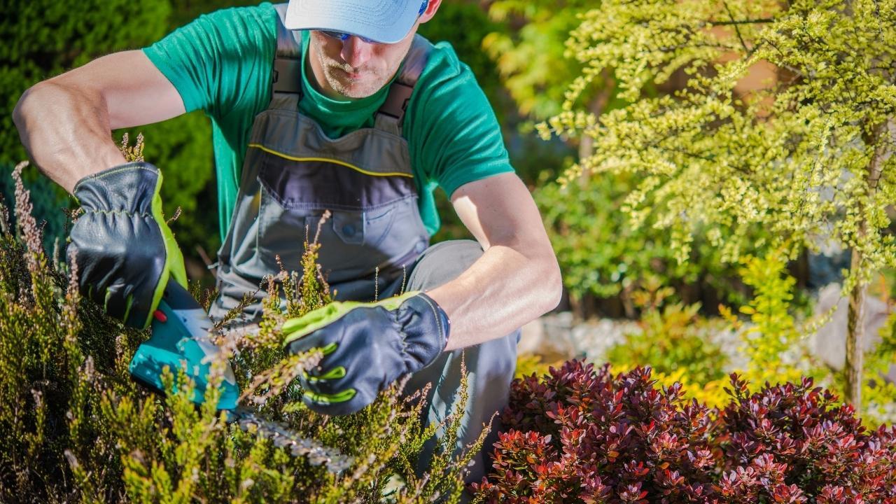 Spring Landscaping Tips for Homeowners in Indiana - McCarty Mulch