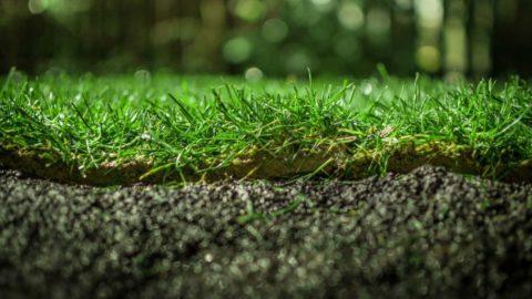 Tips for Planting Grass Seeds in the Fall - McCarty Mulch