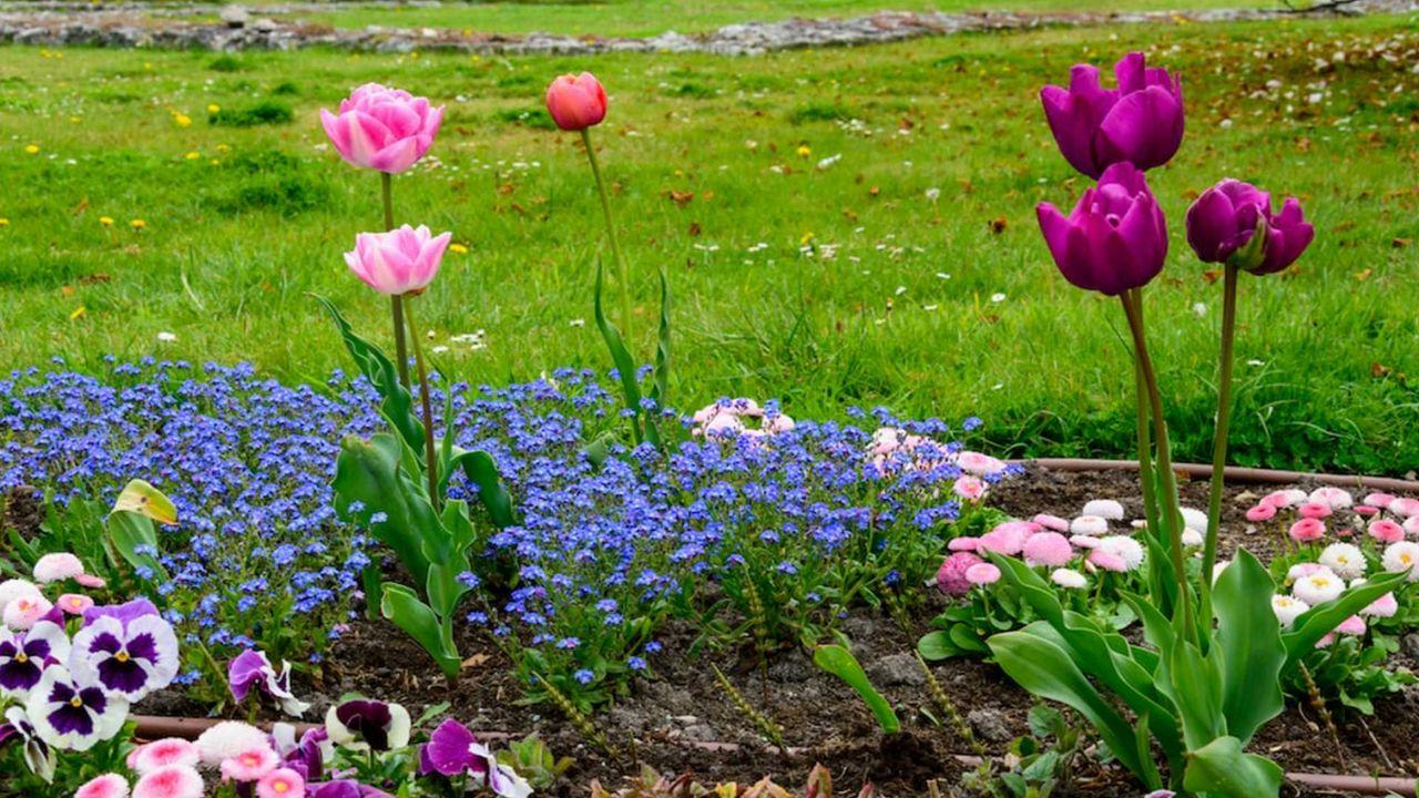 How to make your landscape pop this spring - McCarty Mulch