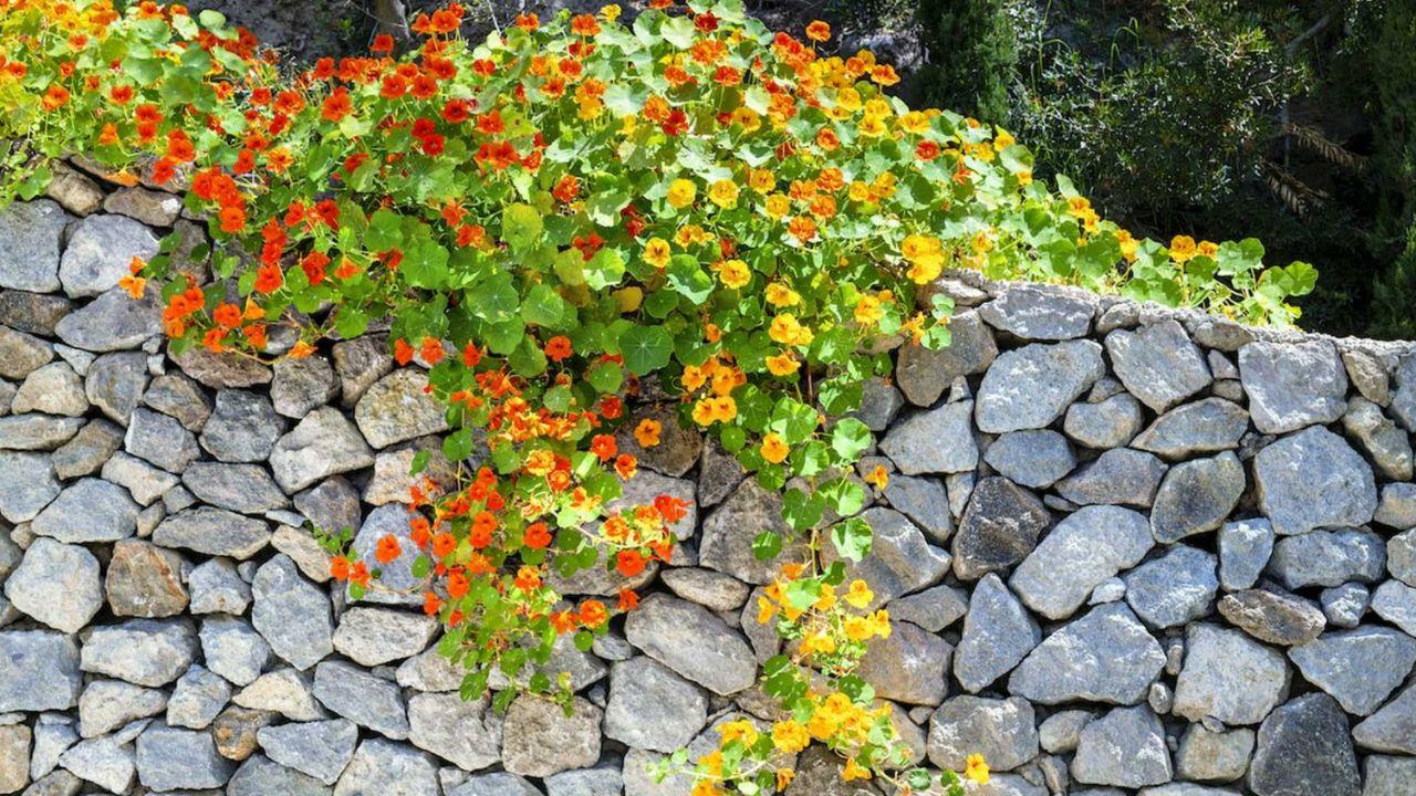 5 Creative Ways to Incorporate Decorative Stones into Your Landscape Design