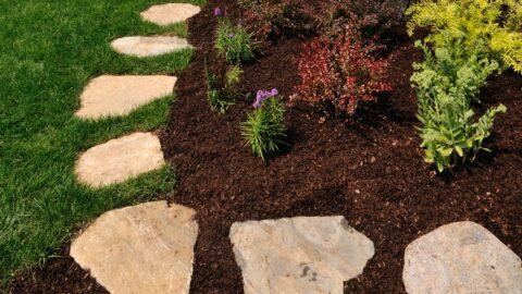 Mulch 101: The Beginner’s Guide to a Landscaping Makeover! - McCarty Mulch