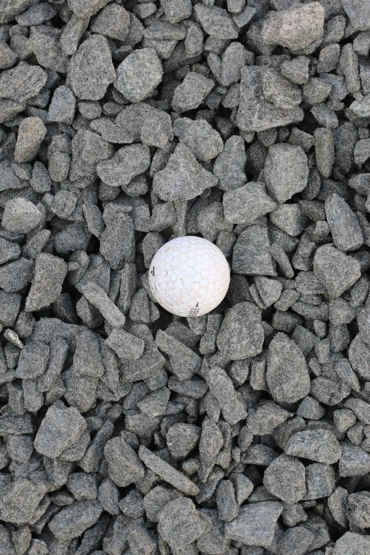 #8 Maylen Black - McCarty Mulch