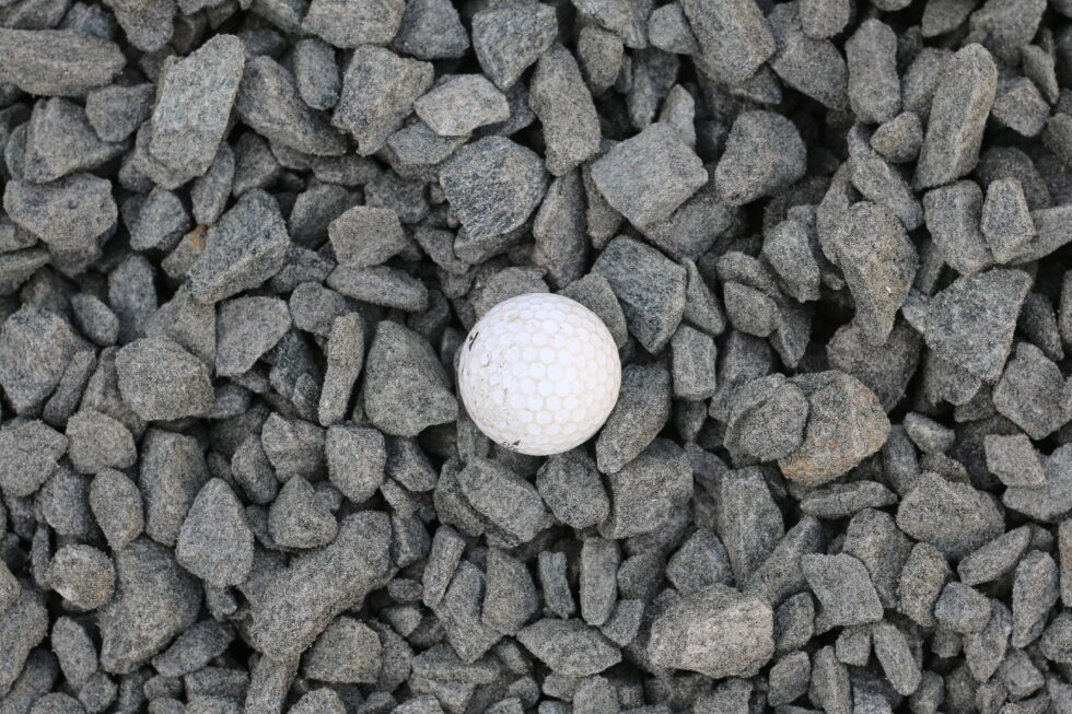 #8 Maylen Black - McCarty Mulch